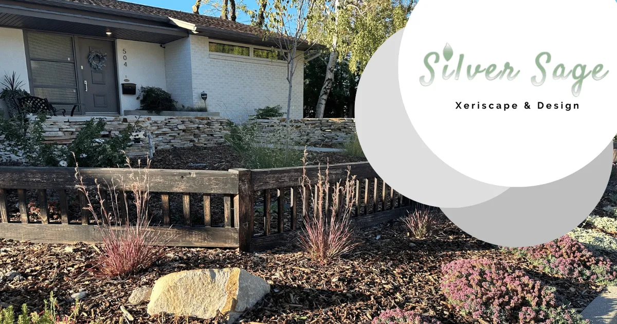 Contact Us - Silver Sage Xeriscape and Design